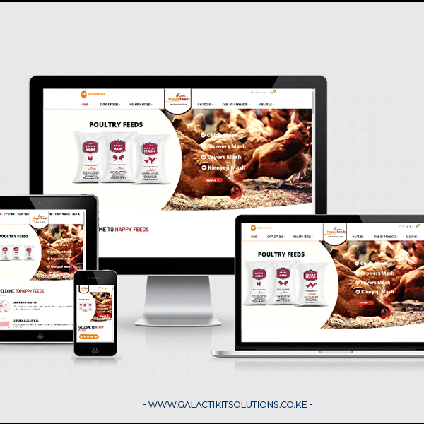 Web and Graphic Design portfolio in Kenya - GalactiK IT Solutions